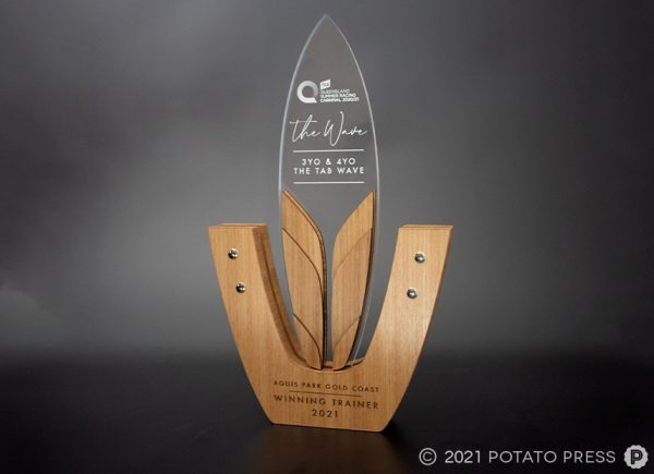 Custom Awards & Event Collateral Archives - Page 2 of 14 - Potato Press