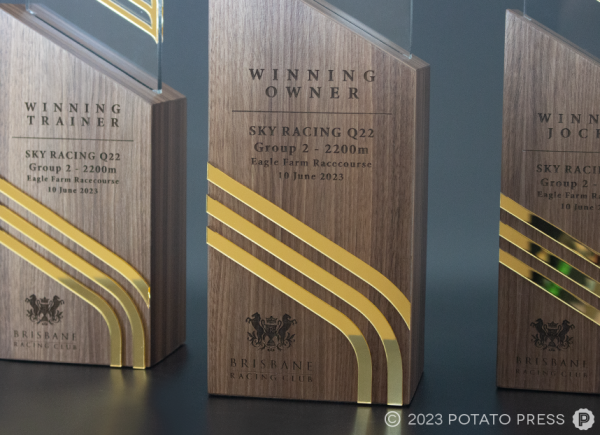 Design & Illustration Archives - Potato Press